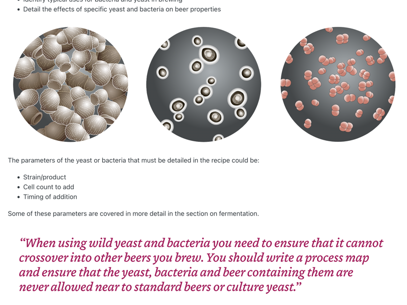 Beer Recipe Development | Chartered Institute of Brewers and Distillers
