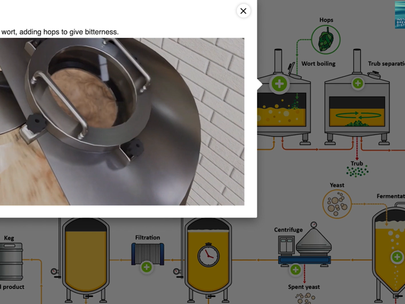Essentials in Brewing | Chartered Institute of Brewers and Distillers
