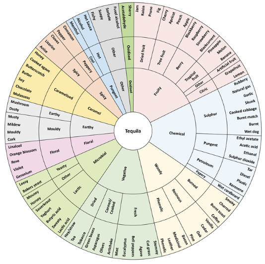 Spirit Sensory Analysis | Chartered Institute of Brewers and Distillers