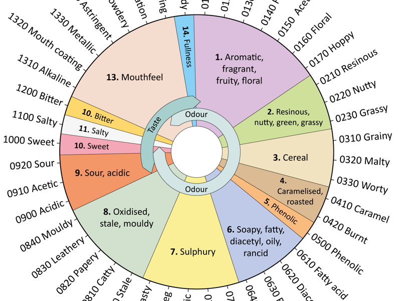 Beer Sensory Analysis | Chartered Institute of Brewers and Distillers